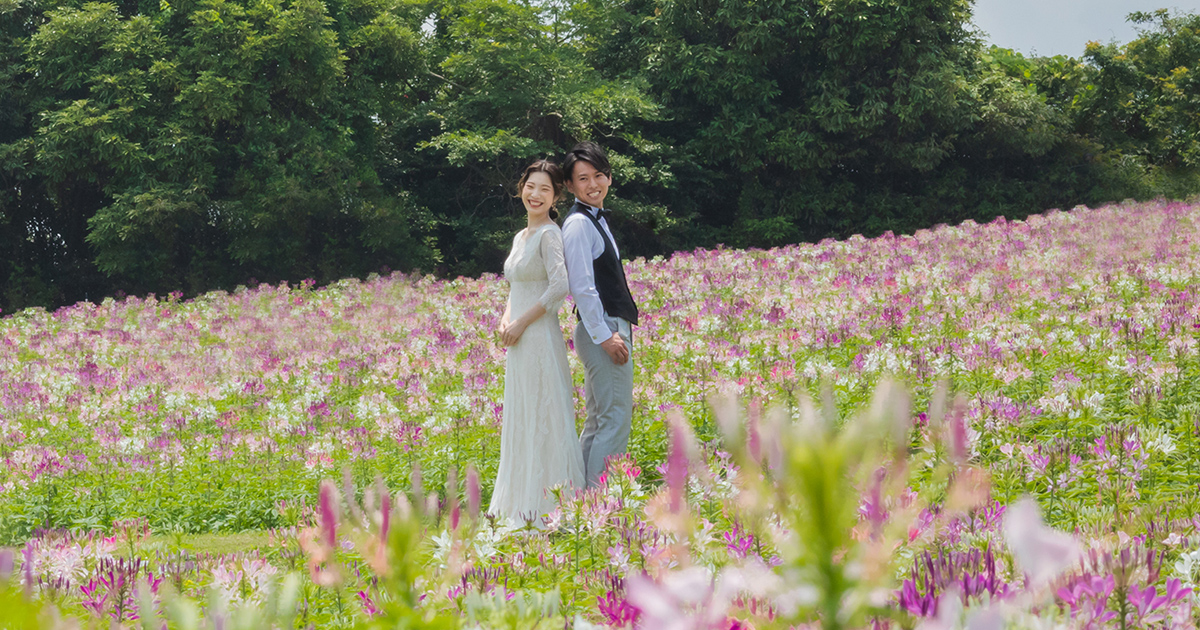 姫路店 淡路島1日ロケプランキャンペーン｜ STUDIOZERO